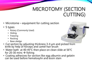 Histopathology Procedures | PPTX