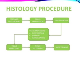 Histopathology Procedures | PPTX