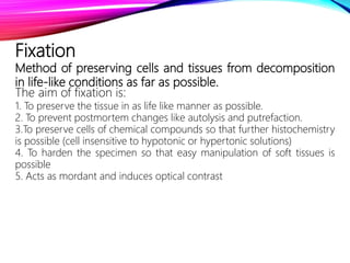 Histopathology Procedures | PPTX