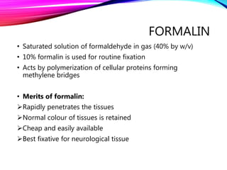 Histopathology Procedures | PPTX