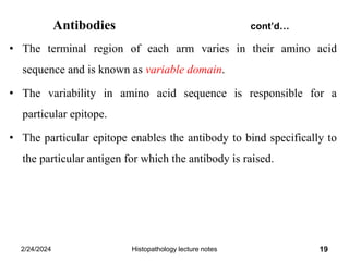 Histopathology chapter 7,8-cytology, Ic (1).ppt