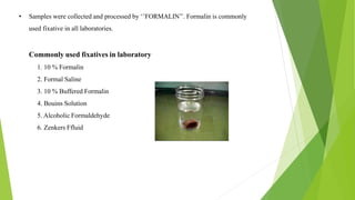 histopathologyintroduction-220311162123.pptx