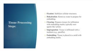 Histopathology Introductory Lecture..pptx