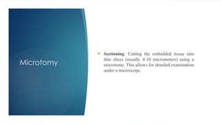 Histopathology Introductory Lecture..pptx