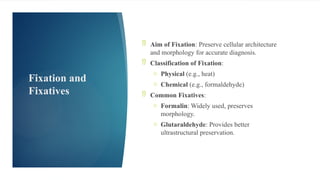 Histopathology Introductory Lecture..pptx