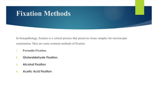 Histopathology Introductory Lecture..pptx