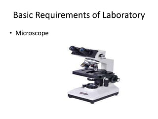 General Organization and Basic Requirements of Histopathological Lab | PPTX