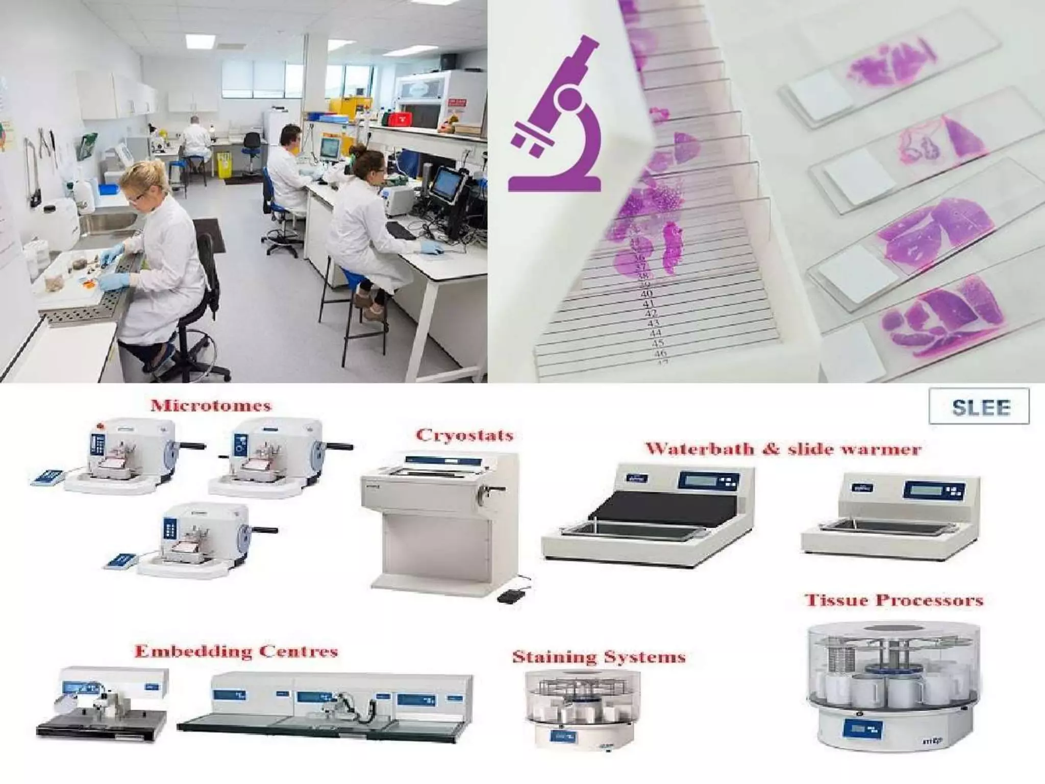 Histopathology Lab intro to CLS (1) (1).pptx