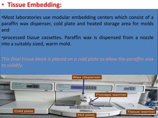 Histopathology Lab intro to CLS (1) (1).pptx