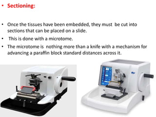 Histopathology Lab intro to CLS (1) (1).pptx