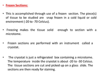 Histopathology Lab intro to CLS (1) (1).pptx