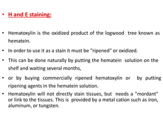 Histopathology Lab intro to CLS (1) (1).pptx