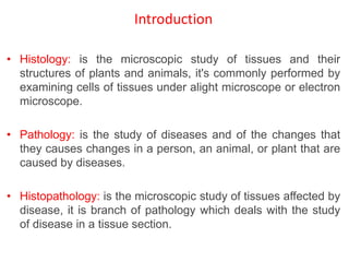 Histopathology Lab intro to CLS (1) (1).pptx