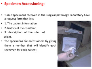 Histopathology Lab intro to CLS (1) (1).pptx