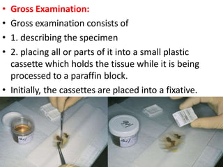 Histopathology Lab intro to CLS (1) (1).pptx