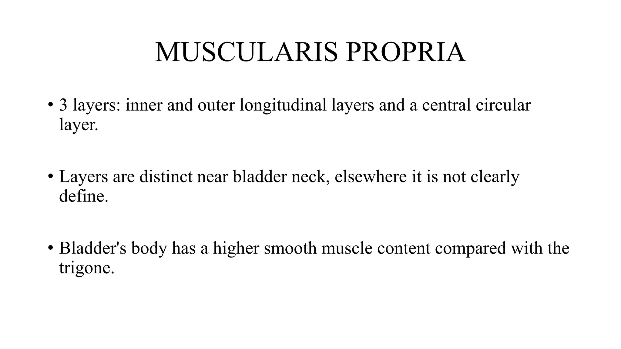 histopathology of bladder and urethra.pptx
