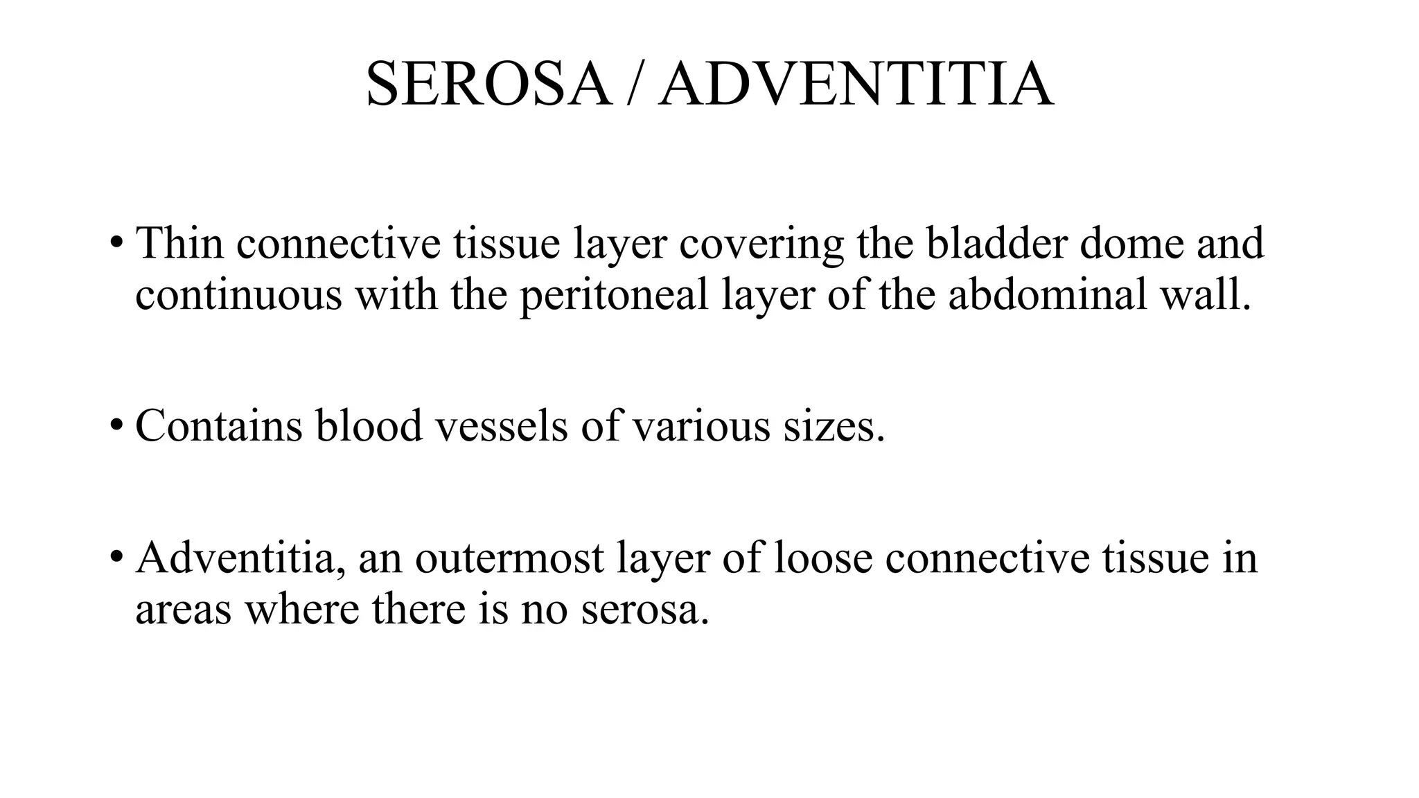 histopathology of bladder and urethra.pdf