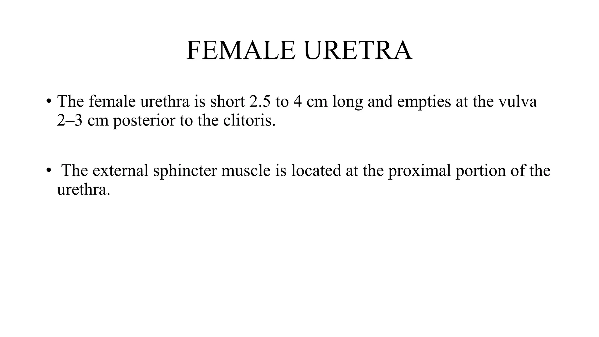 histopathology of bladder and urethra.pptx