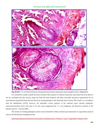 Histopathology of intestinal tissue of mastacembelus armatus ...