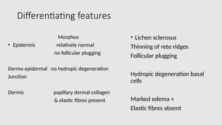 histopathology of lichen et atrophicus dermatology | PPTX