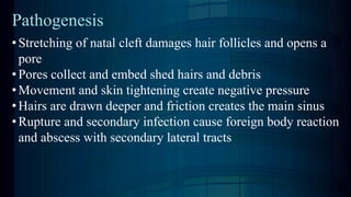 Histopathology of Pilonidal Sinus | PPTX