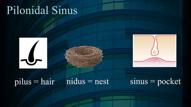 Histopathology of Pilonidal Sinus | PPTX | Ear, Nose and Throat ...