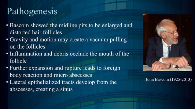 Histopathology of Pilonidal Sinus | PPTX | Ear, Nose and Throat ...