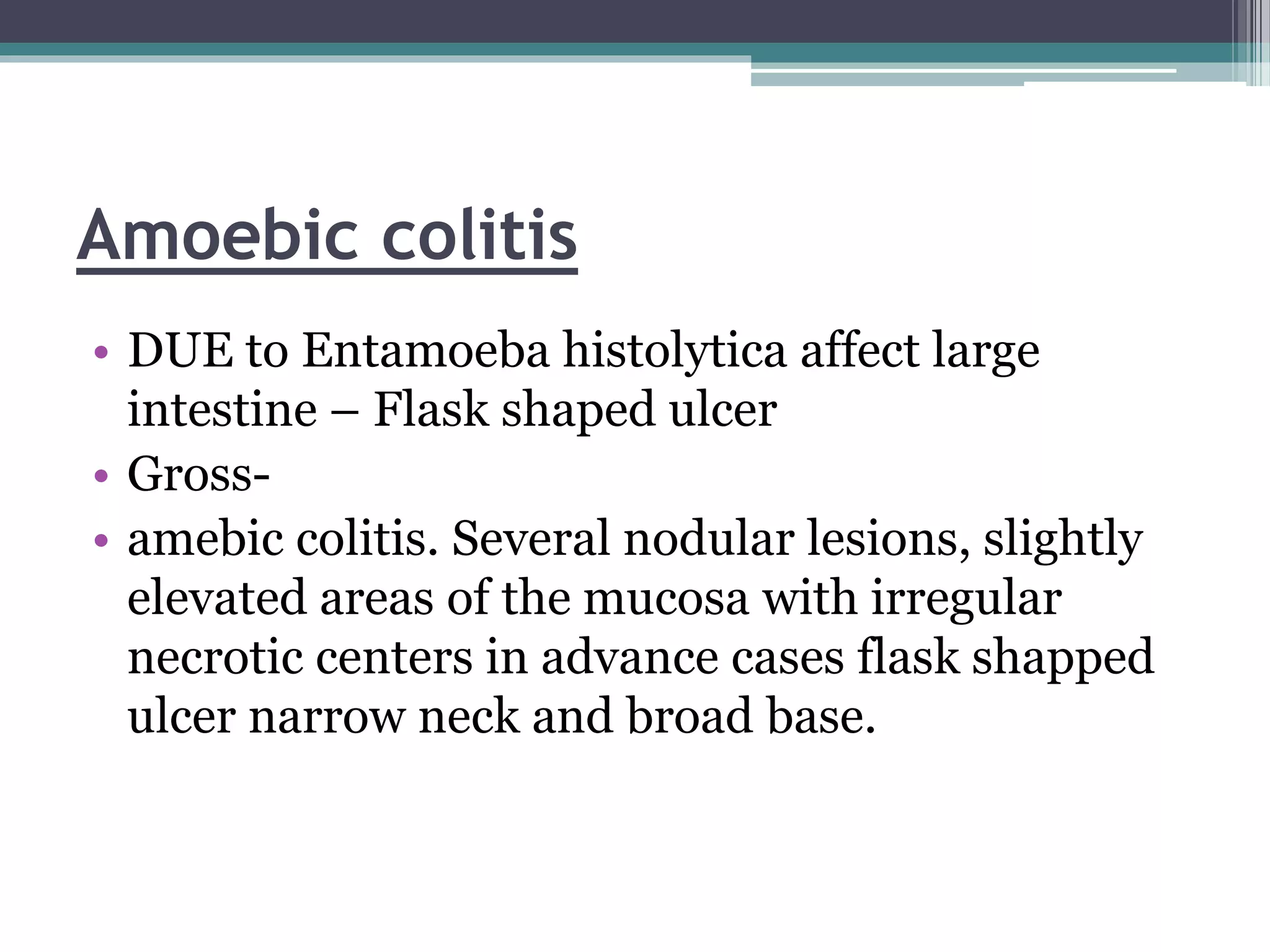 Histopathology slide of | PPTX