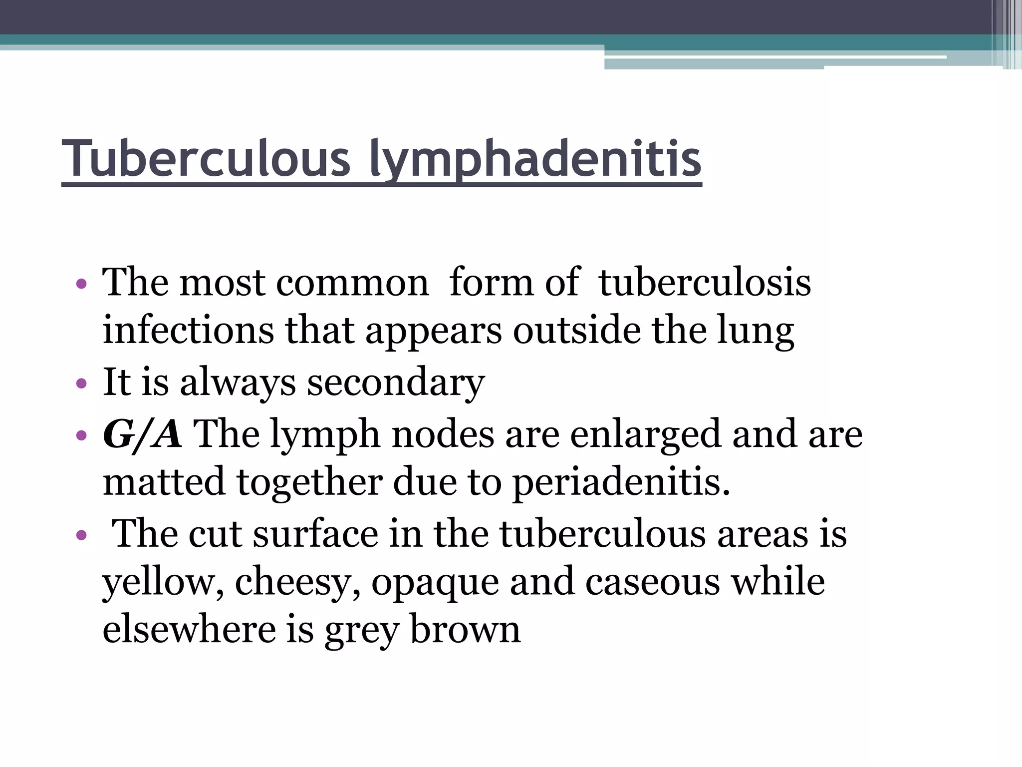 Histopathology slide of | PPTX