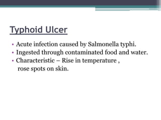 Histopathology slide of | PPT