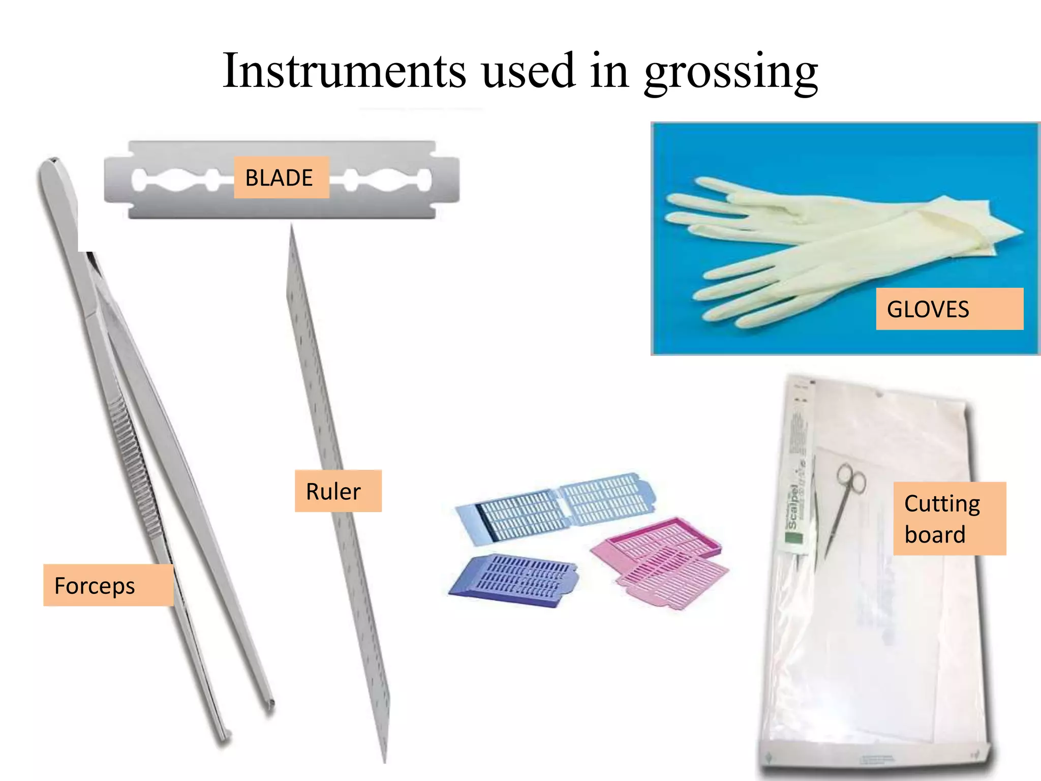 Histopathology specimen processing | PPTX