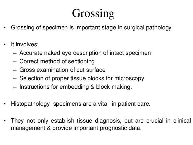 Histopathology specimen processing
