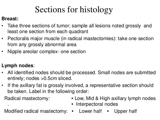 Histopathology Report