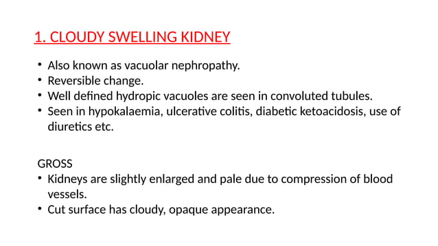 histopath slides.pptx mbbs Second year . | PPT