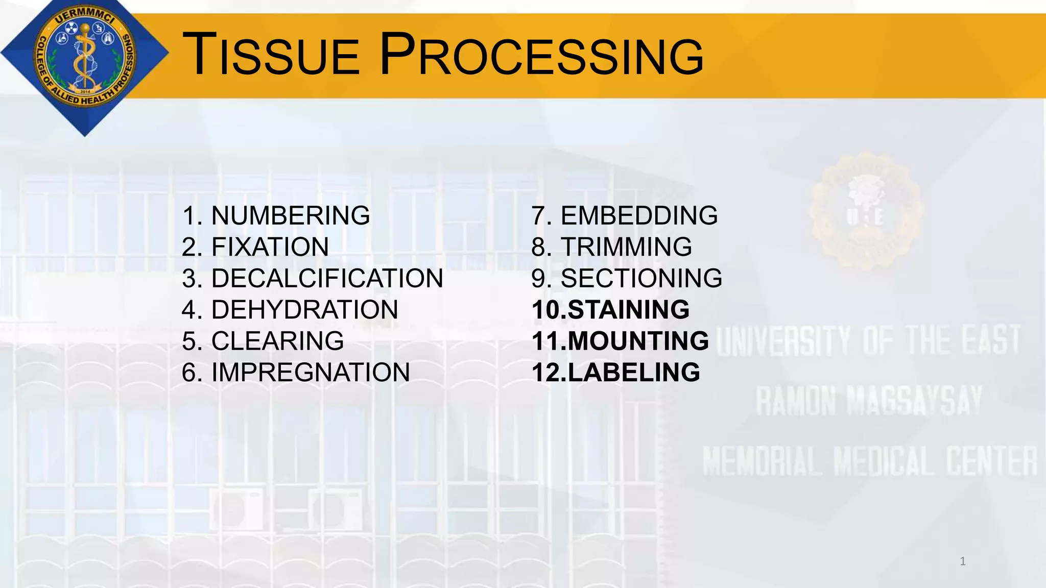 HISTOPATH Staining.pptx