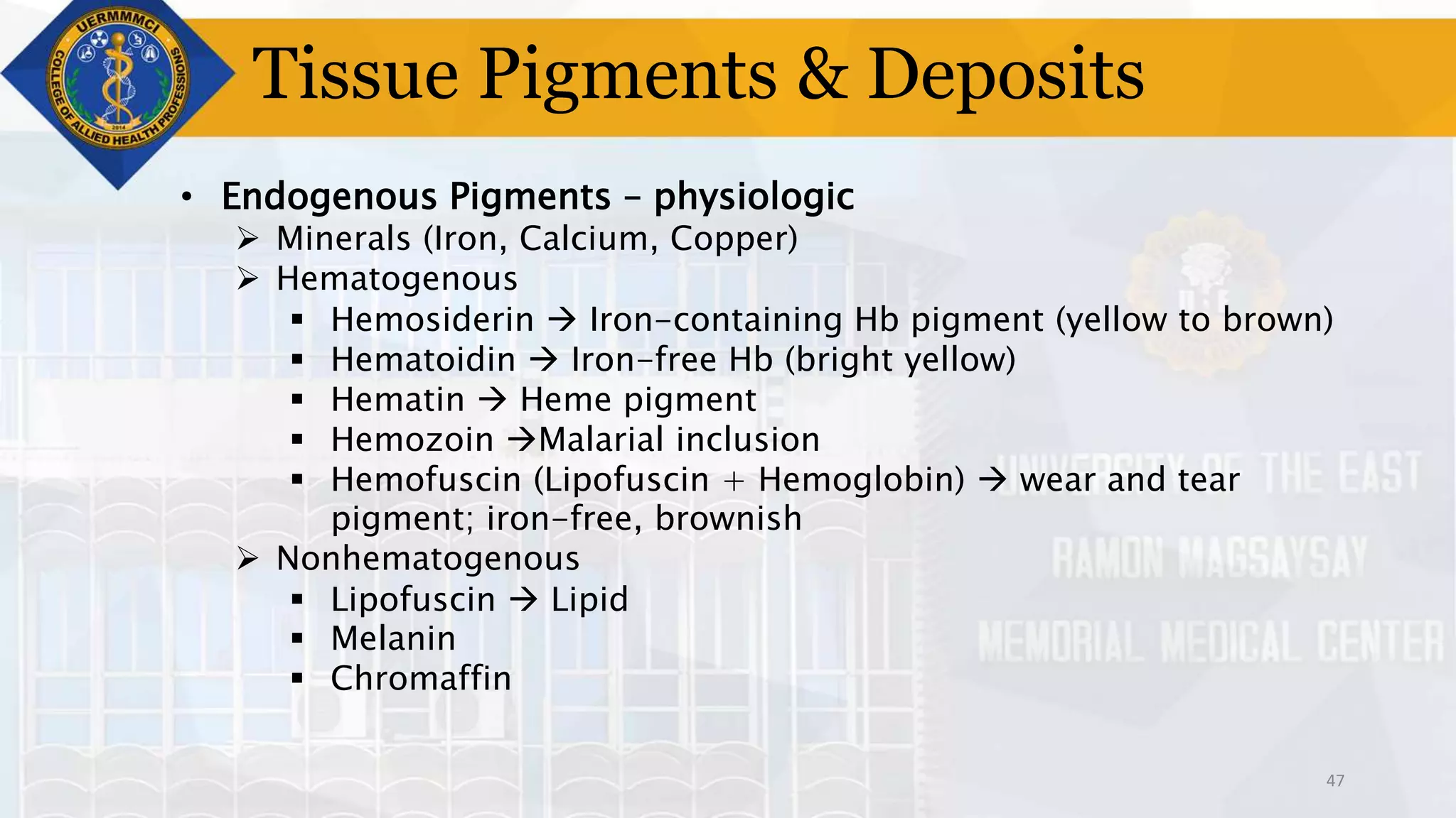 HISTOPATH Staining.pptx