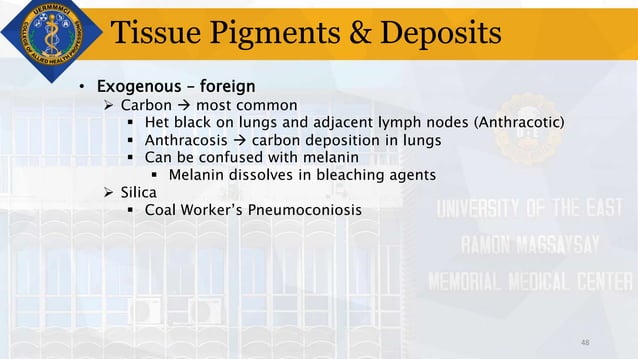 HISTOPATH Staining.pptx