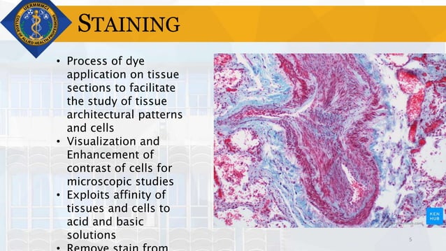 HISTOPATH Staining.pptx