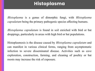 Medically Important Histoplasma species .pptx