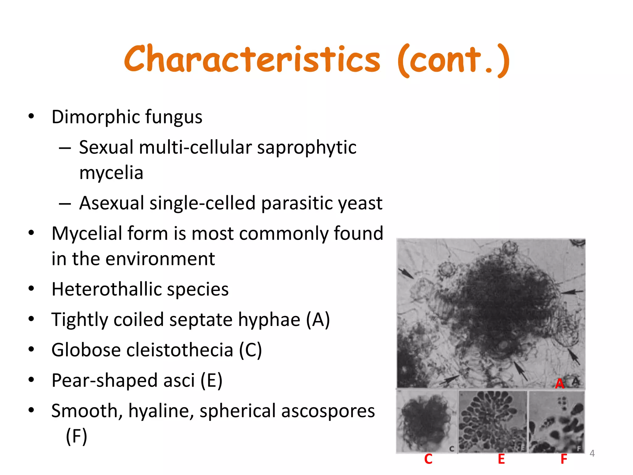 Histoplasmosis | PPTX