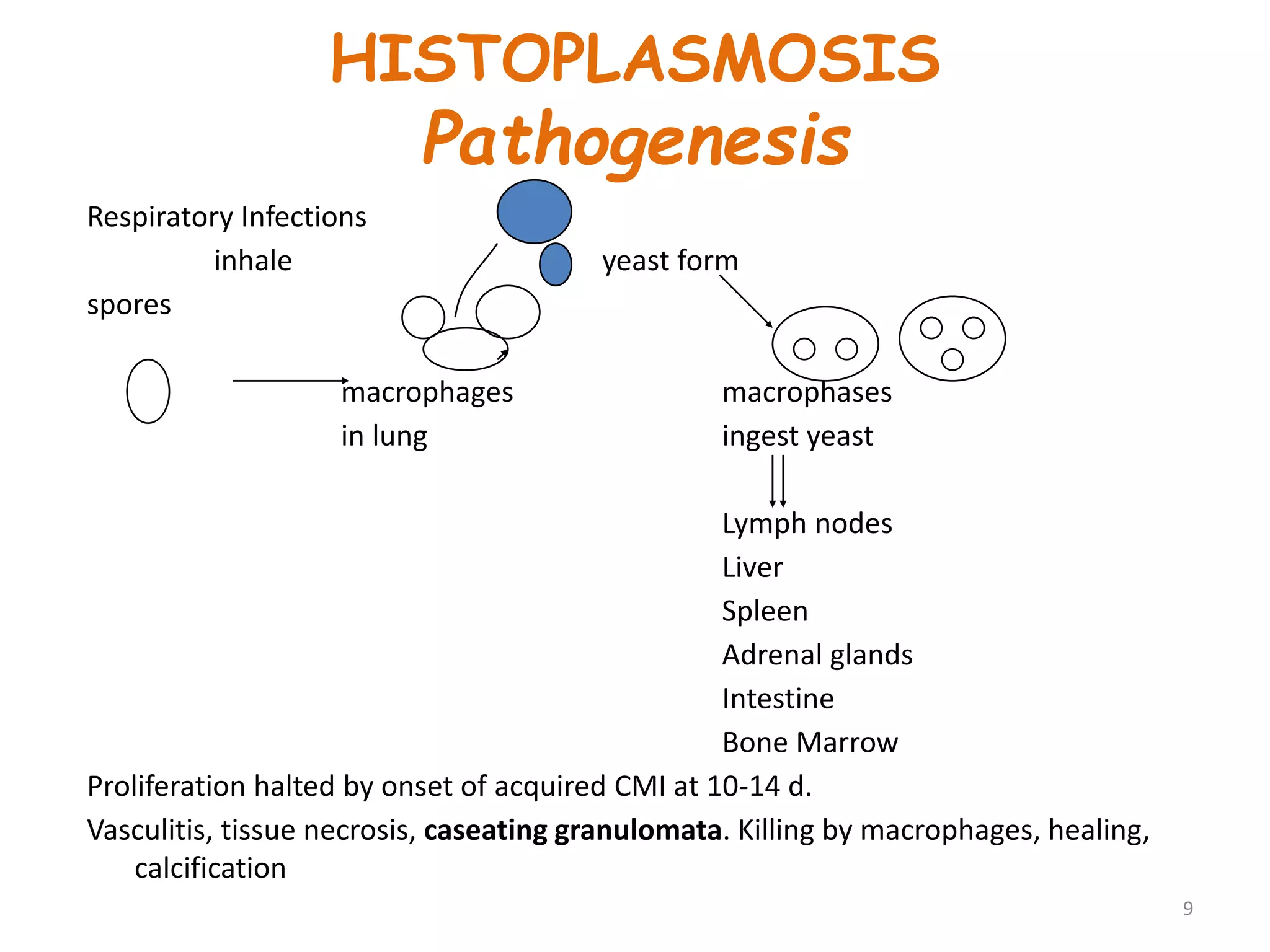 Histoplasmosis | PPTX