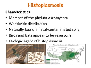 Histoplasmosis | PPTX