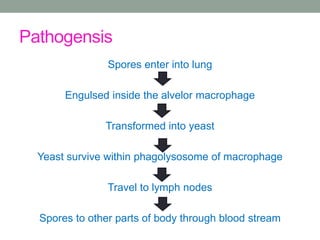 Histoplasmosis | | Systematic mycoses | | | PPT