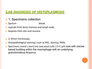 Histoplasmosis | | Systematic mycoses | | | PPT