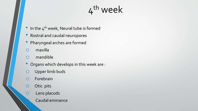 4th to 8th week of human development | PPTX