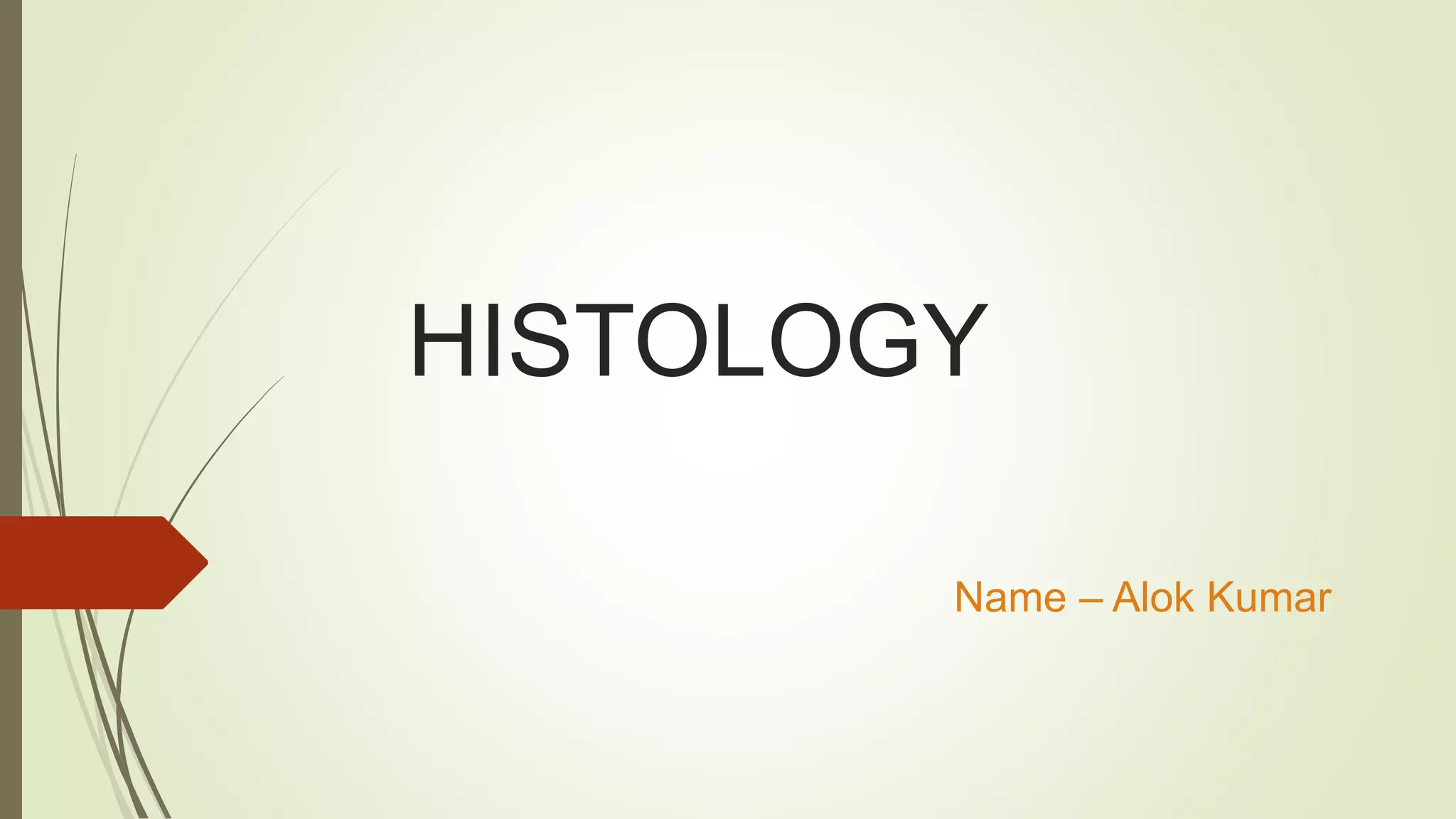 Histology Of Liver | PPTX