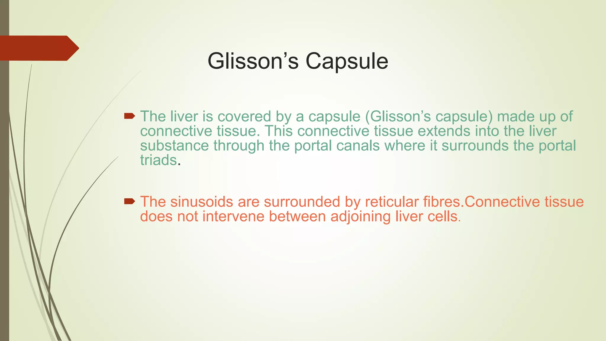 Histology Of Liver | PPTX