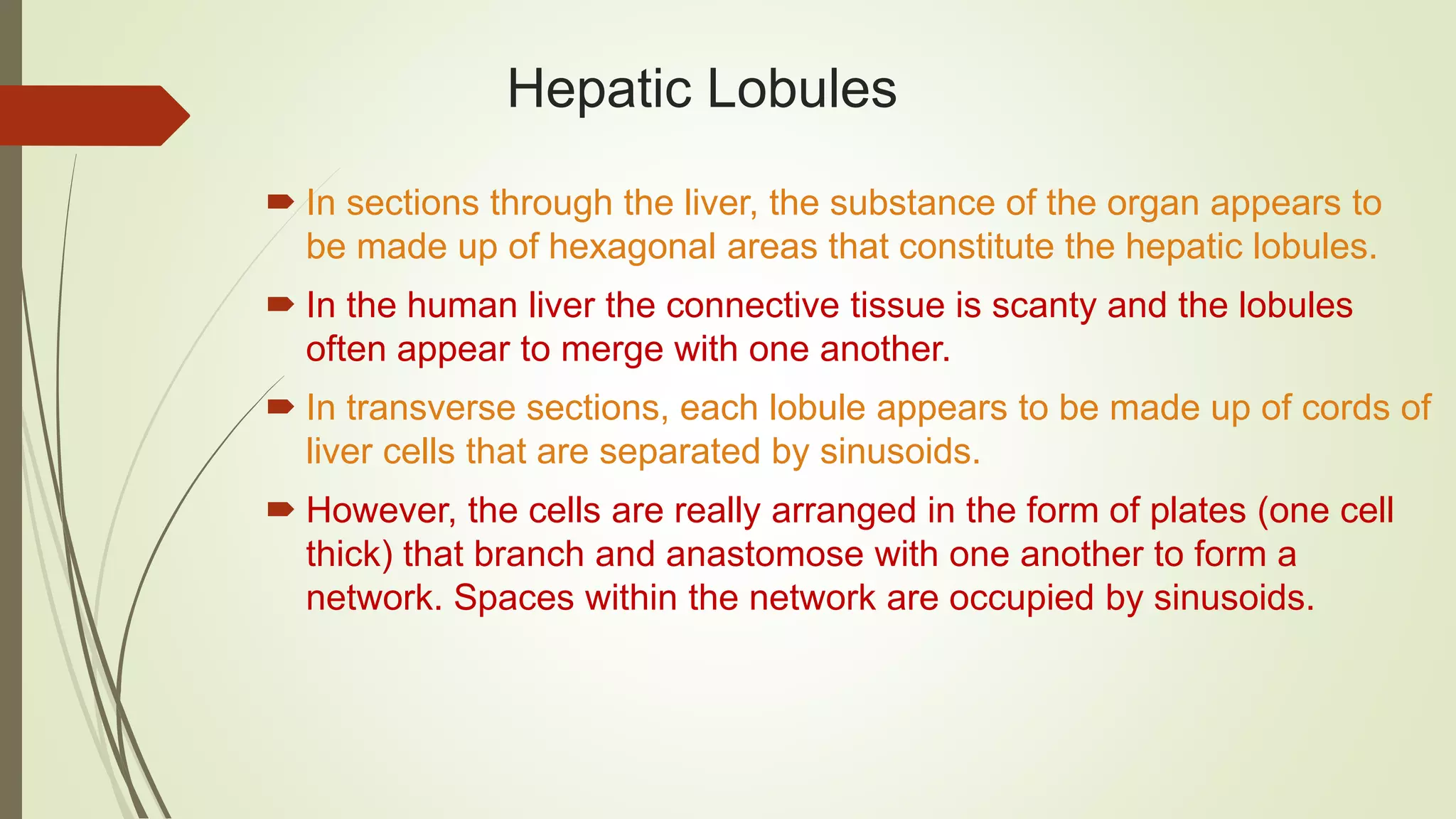 Histology Of Liver | PPTX