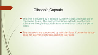 Histology Of Liver | PPTX