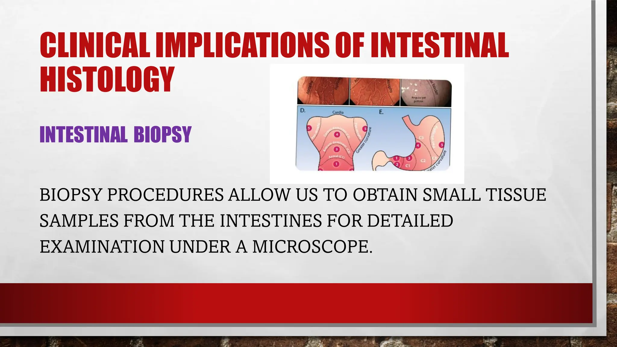 Histopathology Presentation for students and teachers to read and teach ...